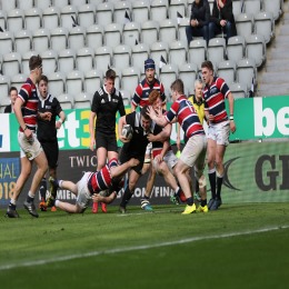 Northumbria Sport : Rugby Union